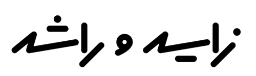 sheikh zayed achievments ar